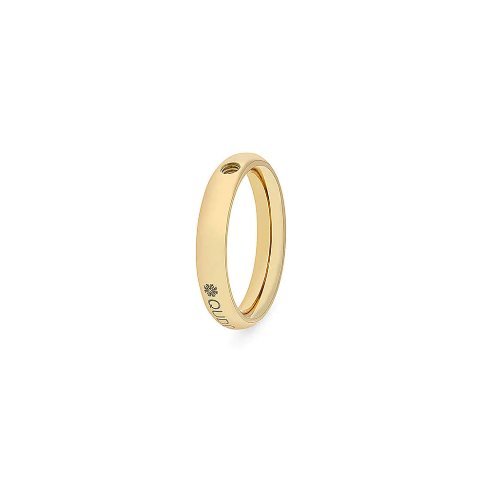 Basic Ring Small in Gold – Qudo South Africa